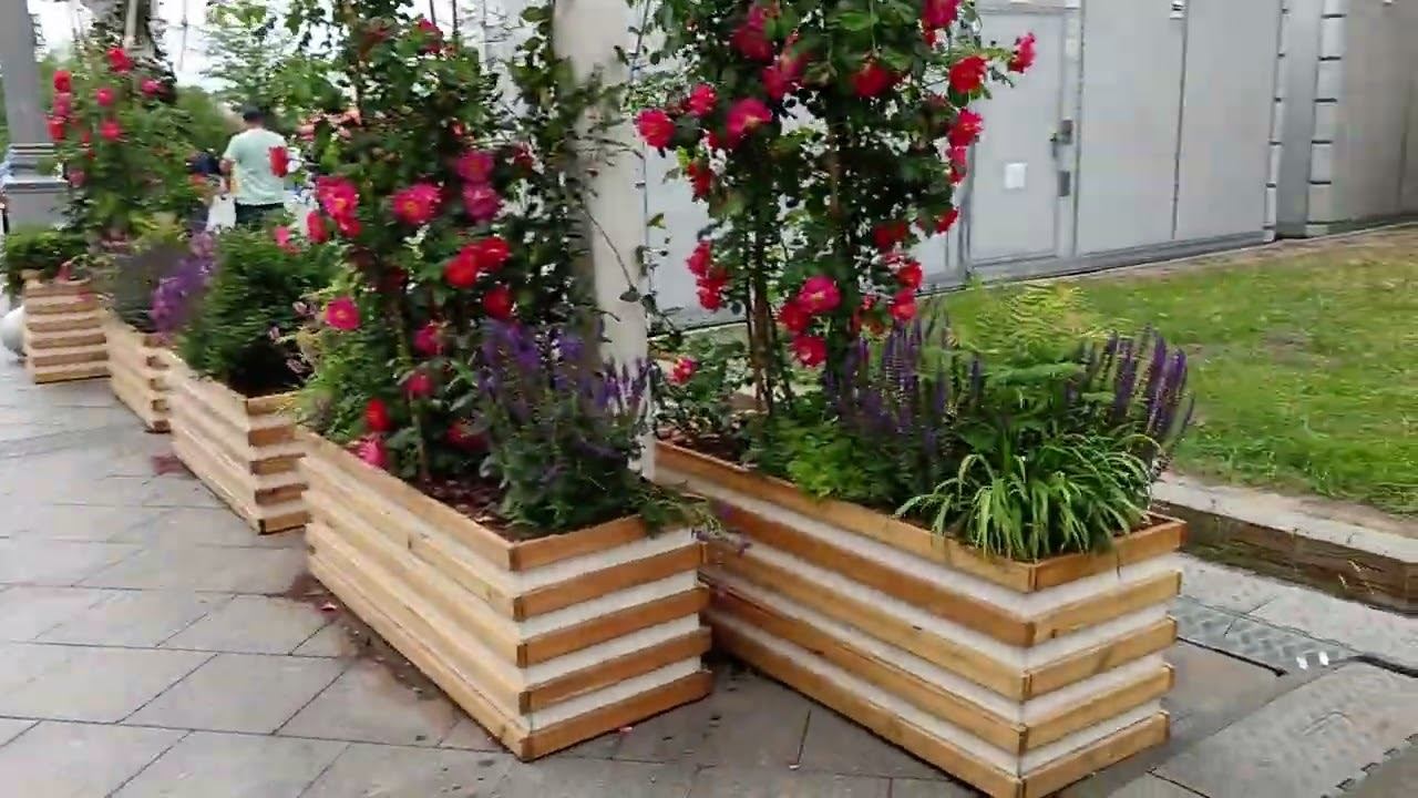 10 июня 2024 г.