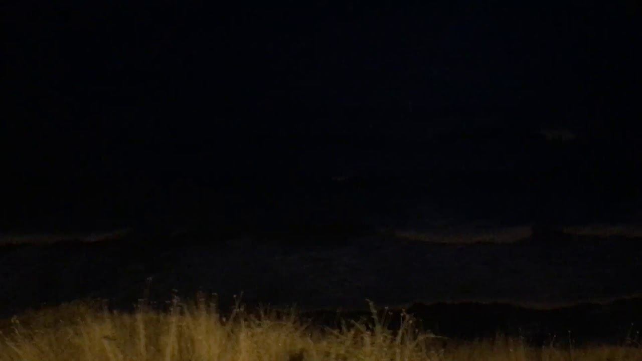 18 октября 2019 г.