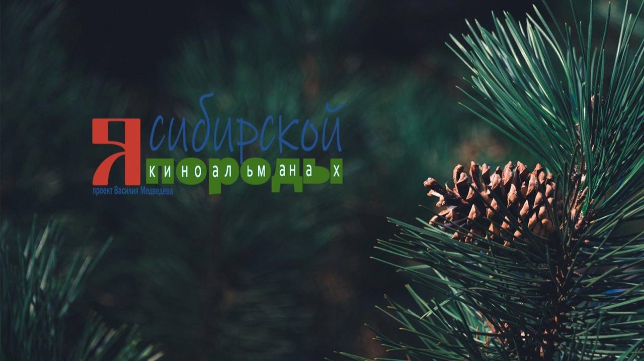 «Я Сибирской породы»: предприниматели, о которых не говорят в новостях