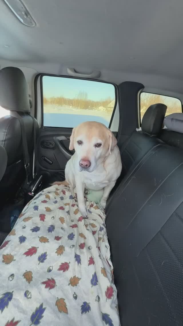 Так-то потеплей будет. Уля anzl.ru