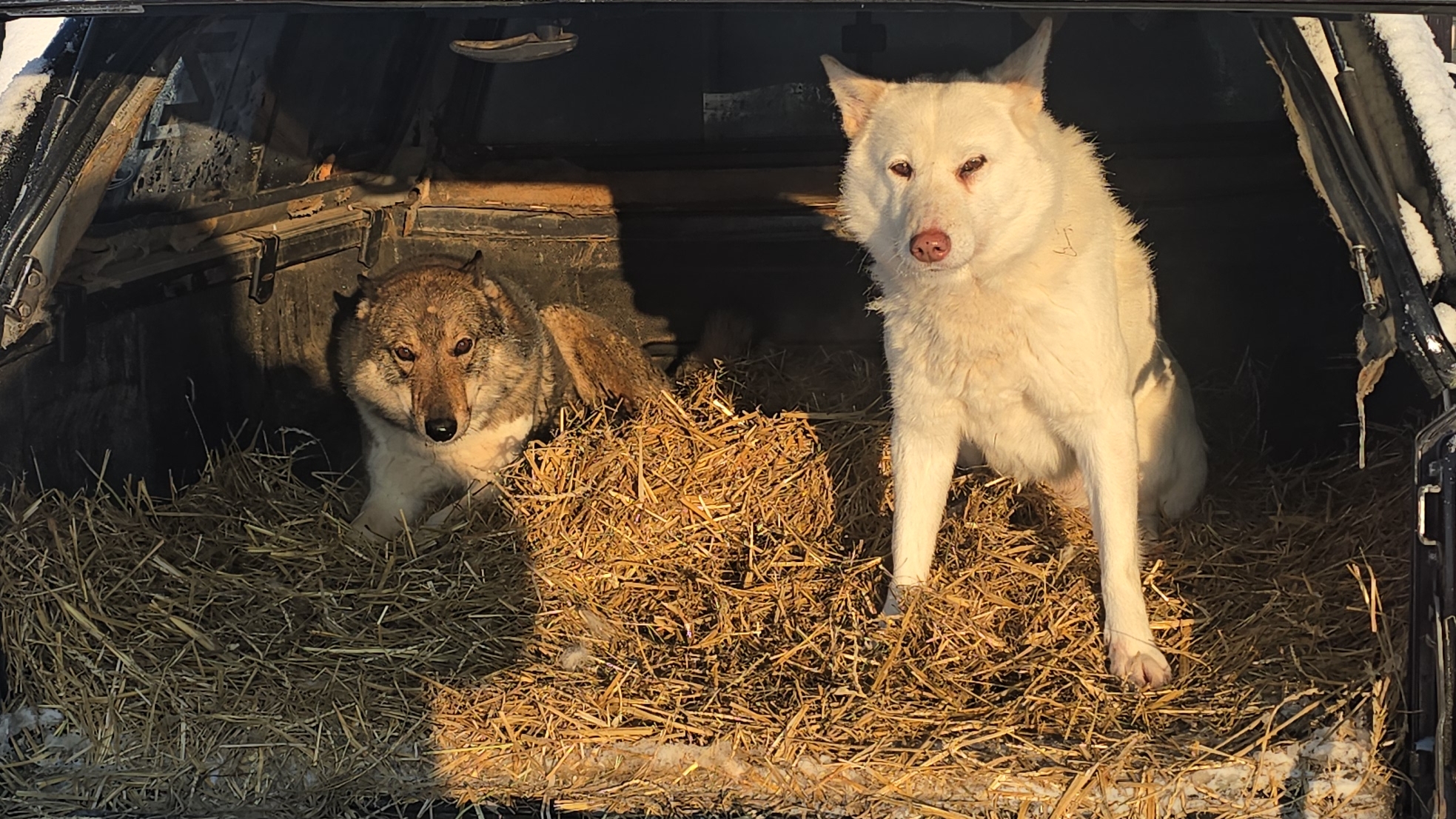 Если что мы тут