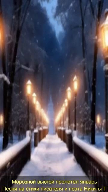 Морозной вьюгой пролетел январь