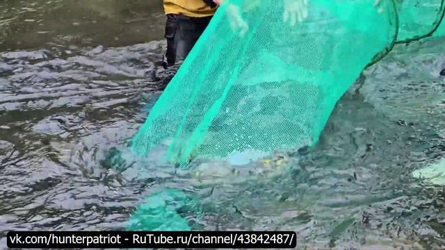 🎣 Рыболовные навыки: Садковые ловушки для речной рыбы на продажу | История мальчика из Хайленда