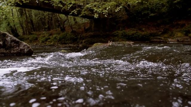 Relaxing Sleep Music for Medetation