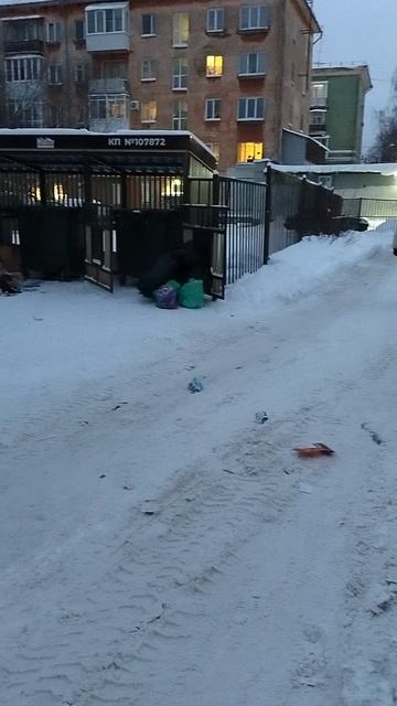 №1172 Двор Г. Звезда 73-Красноармейская 52 16 декабря 2025 г., 16:56:17 VID_20251216_165553138