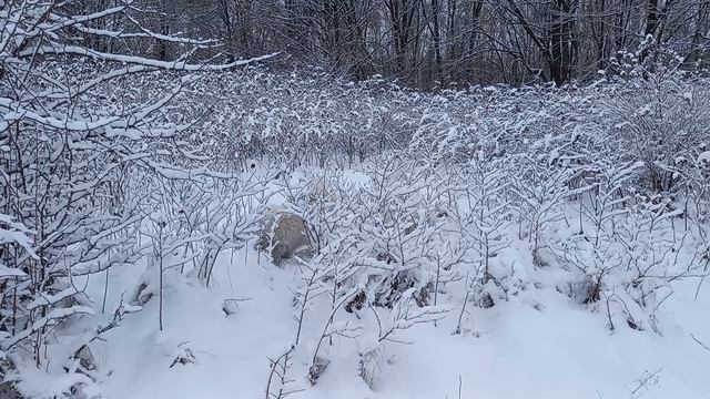 Маскировка