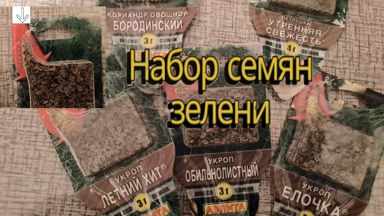 СЕМЕНА петрушки, кориандра, укропа с дозатором. Ценность зелени (петрушка, кориандр, укроп) #семена