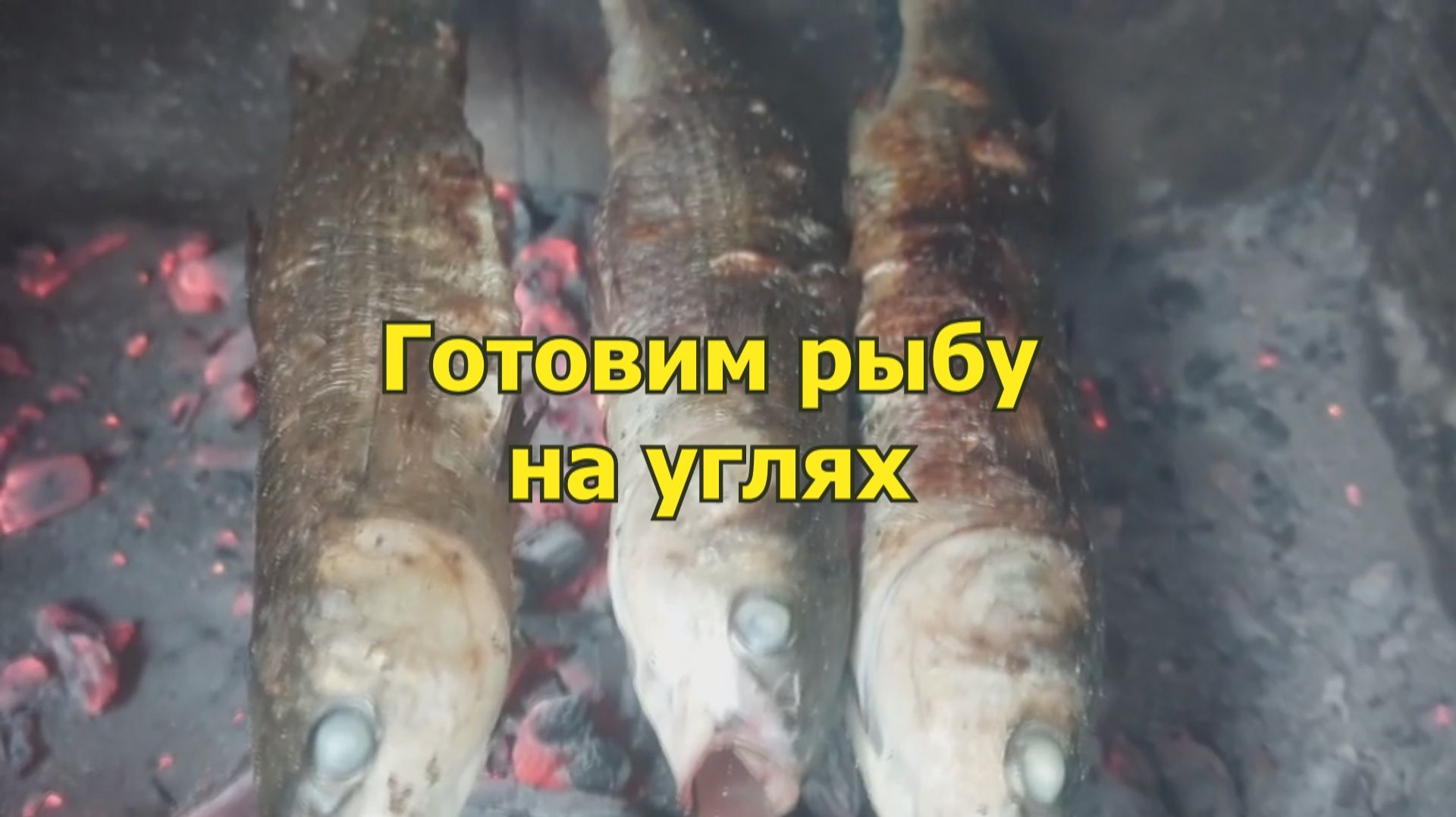 Как приготовить рыбу на углях. Маринад для Рыбы