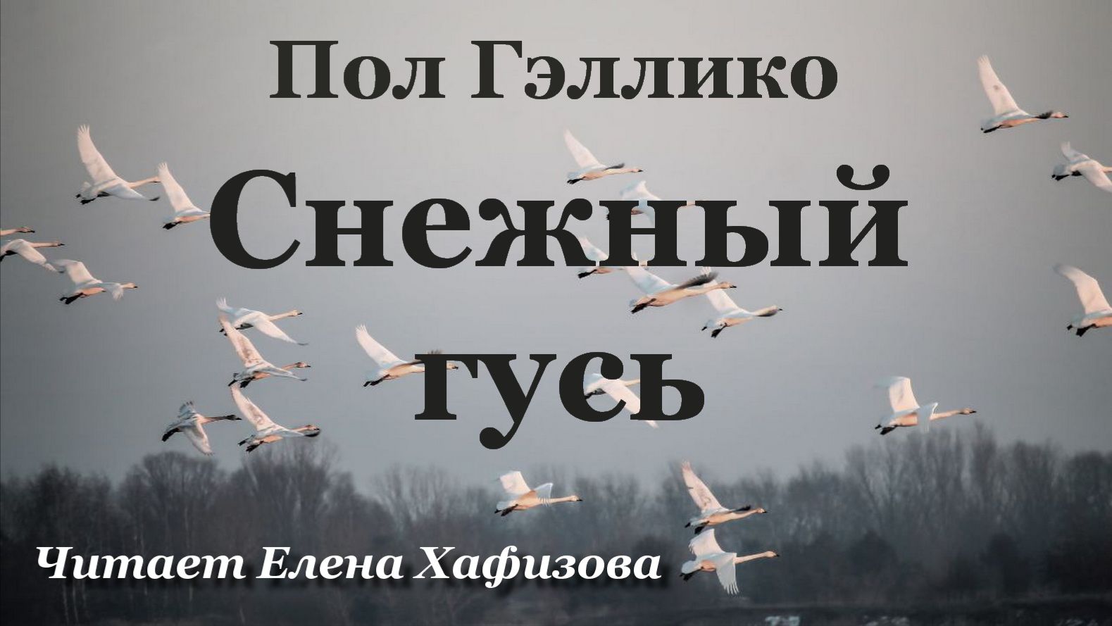 Пол Гэллико. Снежный гусь.