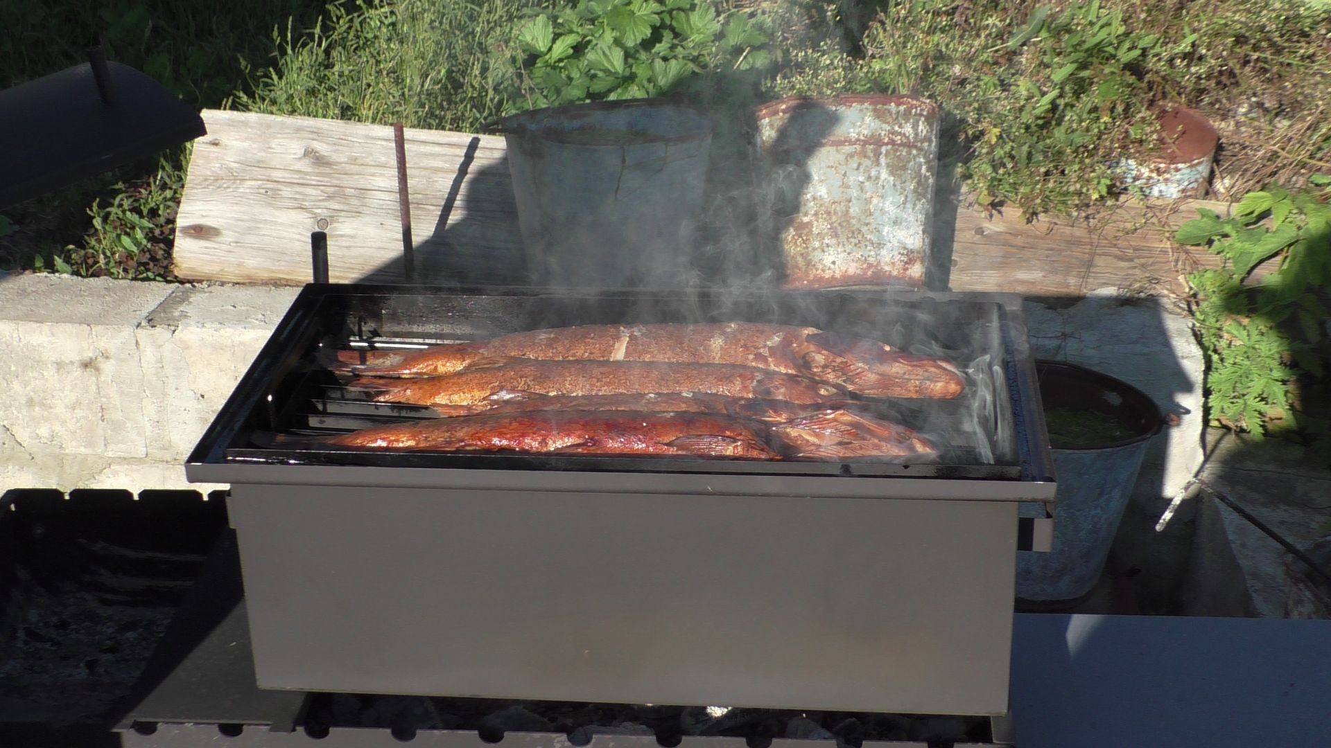 2025.09.06. Щуки по-баклански.