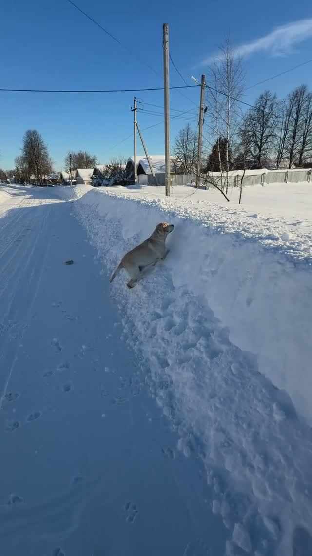 Ульзана anzl.ru на морозе.