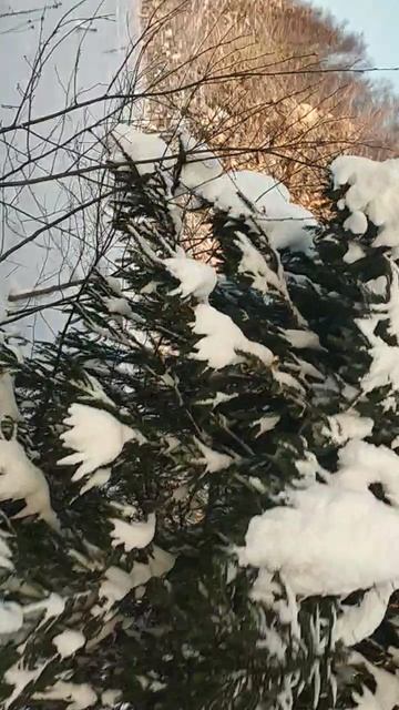 Снегоходные Покатушки. 4 серия