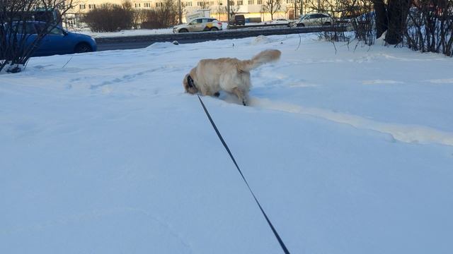 30 января 2026