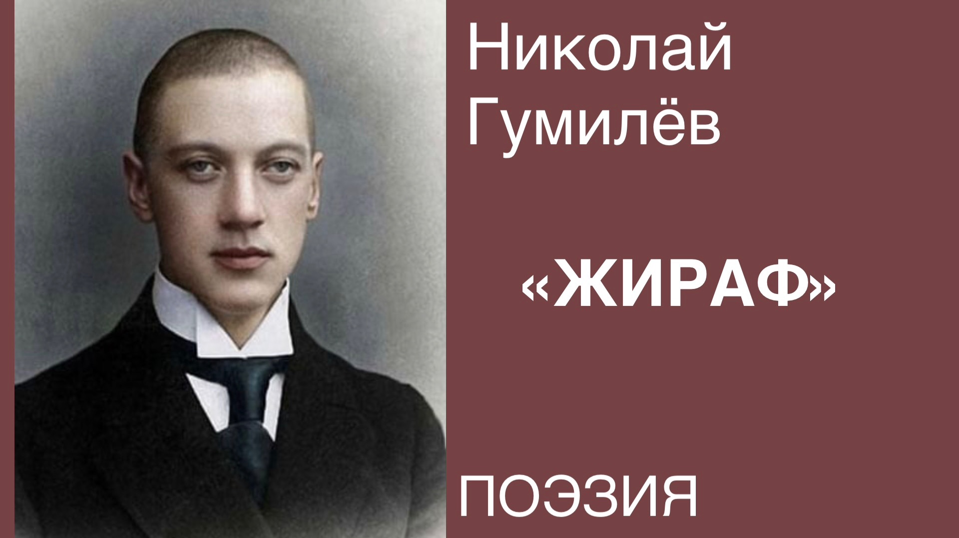 ПОЭЗИЯ. Николай Гумилёв "ЖИРАФ".