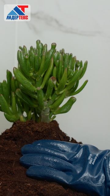 Съемка для бренда спецодежды от студии DariProduction