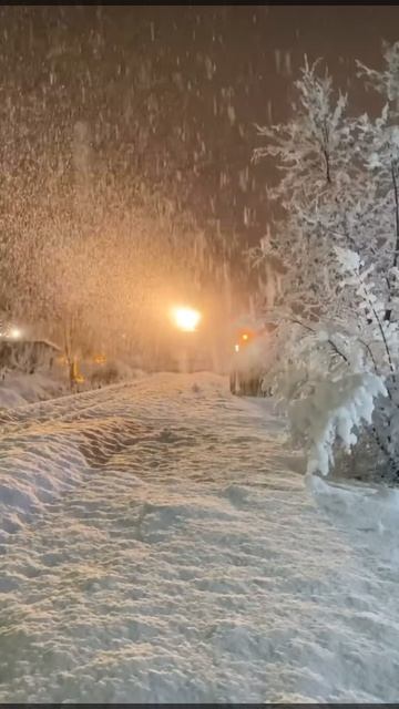 Красота в глазах смотрящего 🫶🏽🍀🍀🍀