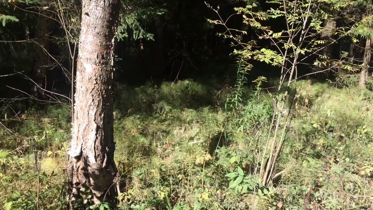 Дача 30 сентября