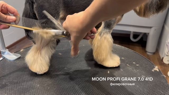 Секреты стрижки филировочными ножницами от Елены Ривво