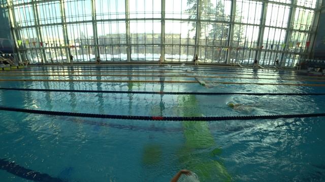 270126 50м спина Панасенко Роман 2015 3дор 55сек 3юн