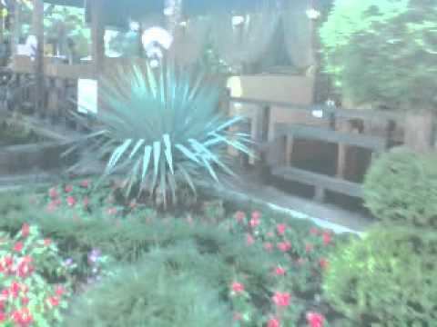 ривьера баба