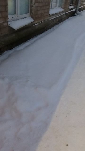 №1173 Двор Г. Звезда 73-Красноармейская 52 16 декабря 2025 г., 16:57:04 VID_20251216_165649855