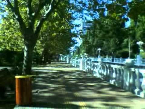 Курортный проспект, сентябрь 2014