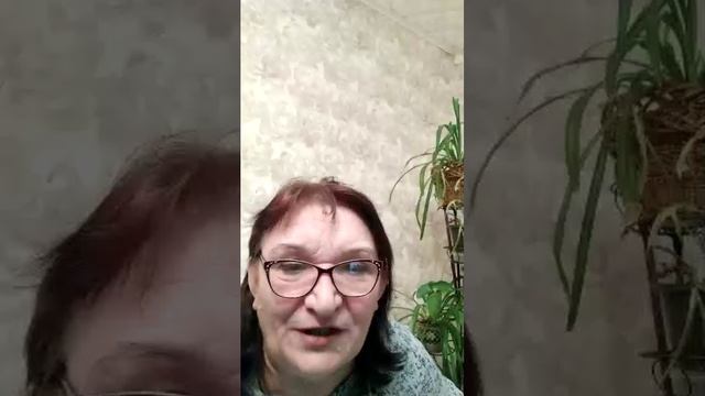 Февральские посиделки