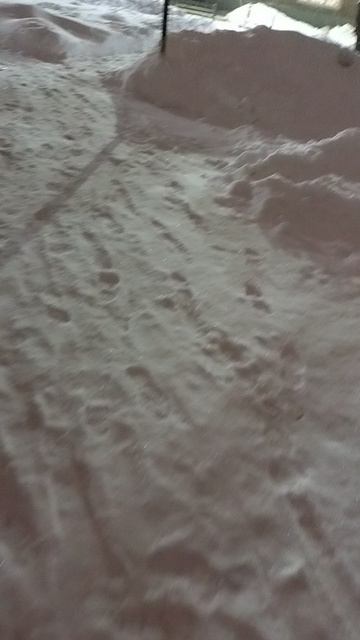 №1203 Двор Сибирская 73. 22 декабря 2025 г., 17:32:05 VID_20251222_173132415