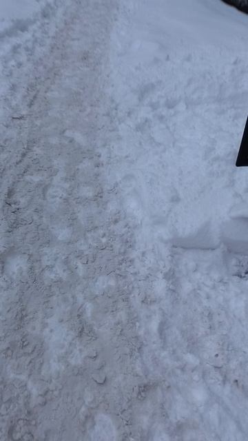 №1187 Двор Г. Звезда 73-Красноармейская 52 22 декабря 2025 г., 16:04:03 VID_20251222_160309681