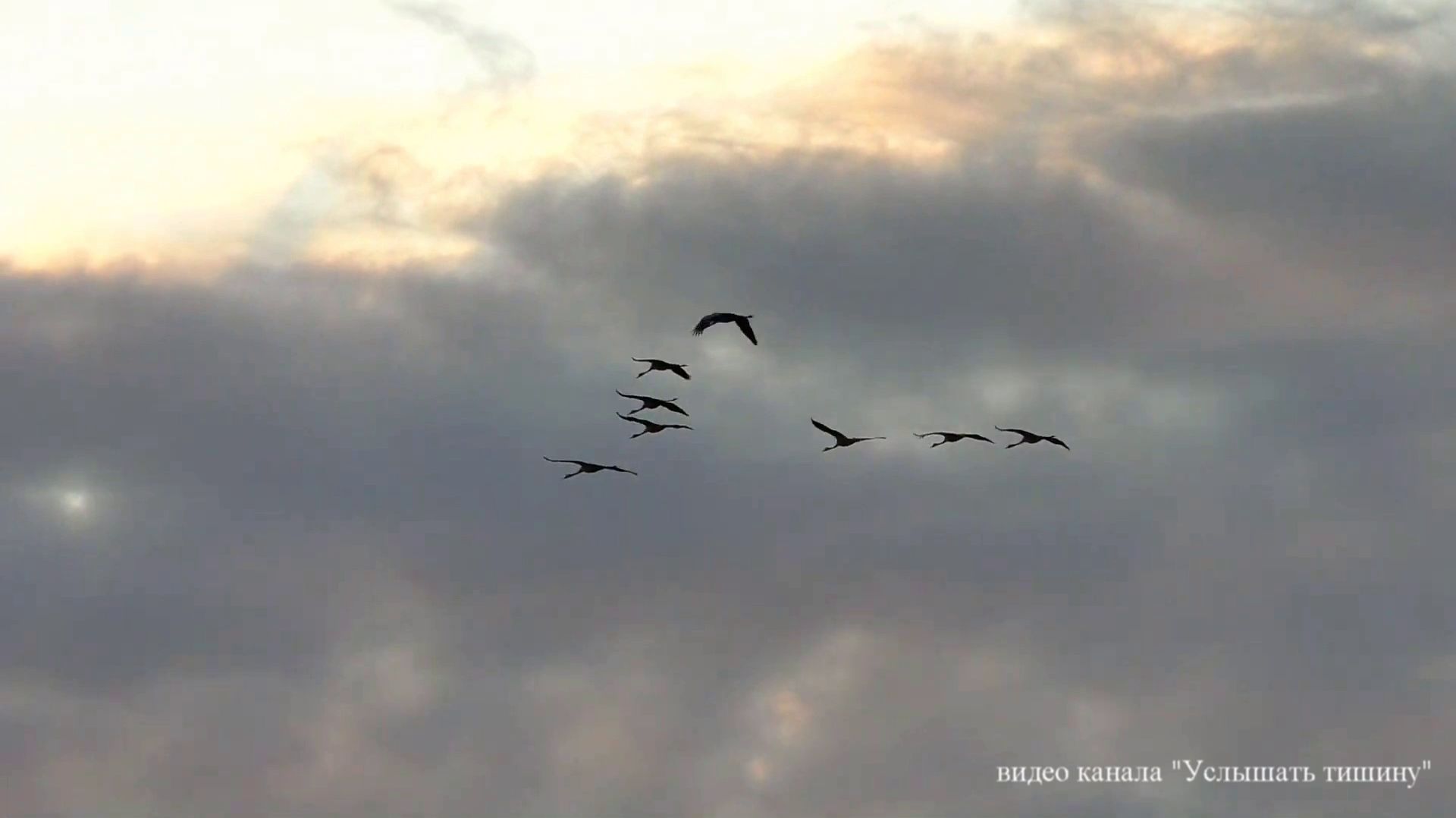 "Журавли" - Марк Бернес.   "Журавли" - Марк Бернес