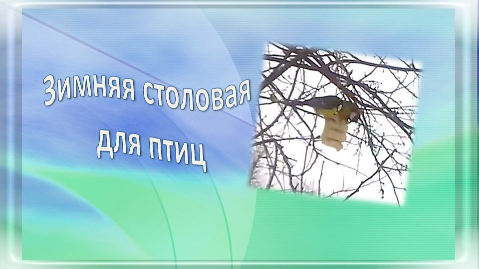 Зимняя столовая для птиц