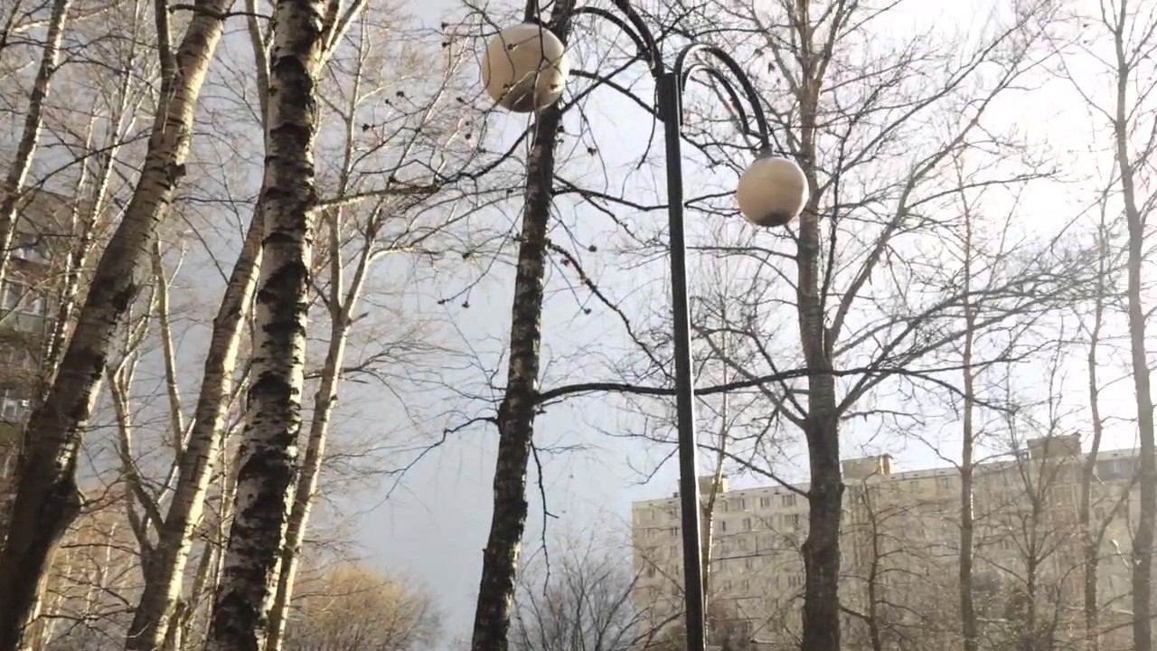 Люберцы. 12 апреля.