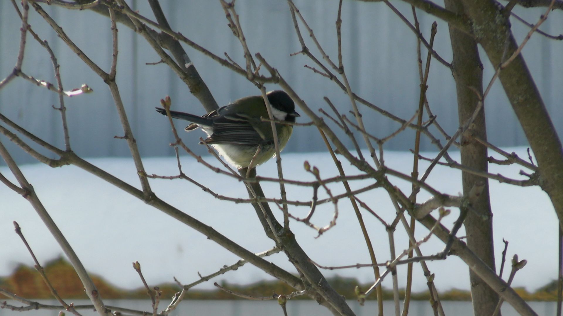 ТЕПЛА ЖДАТЬ НЕ СТОИТ