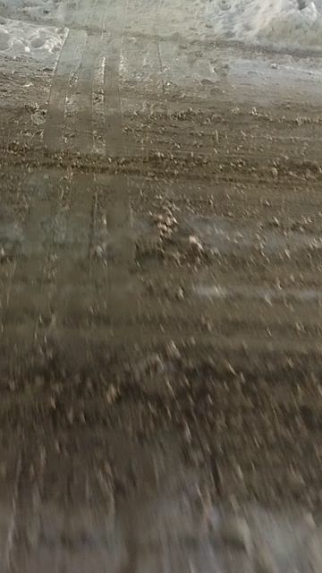 №1198 ул. Швецова. 22 декабря 2025 г., 17:17:42 VID_20251222_171710963