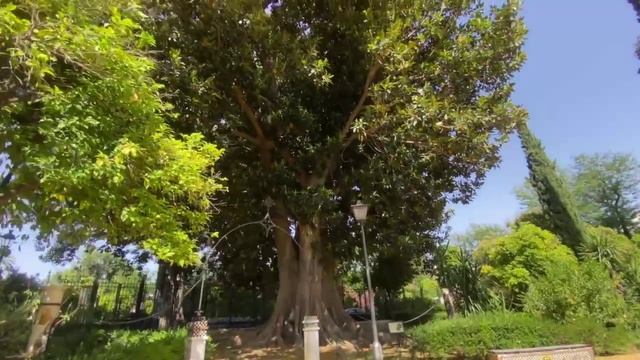 Зеленые тенистые оазисы Севильи