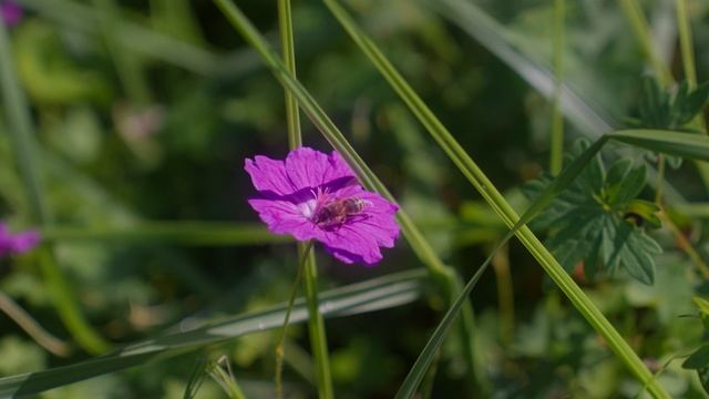 Нетипичный Палех съемка от студии DariProduction