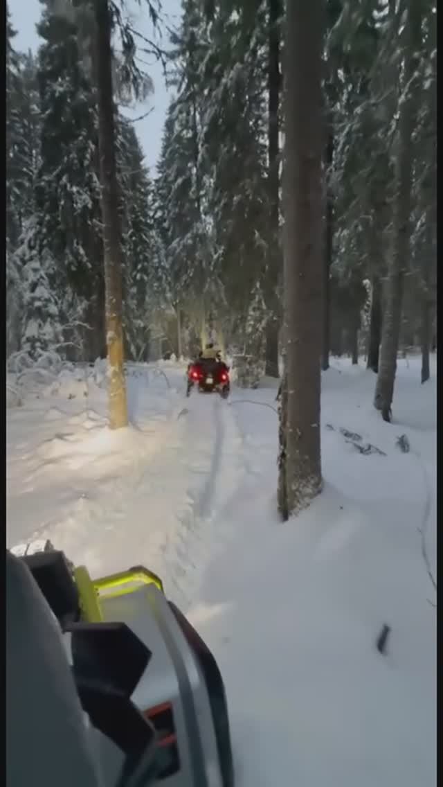 Зимой в лесу на двух квадрах - In the winter in the forest on two quads