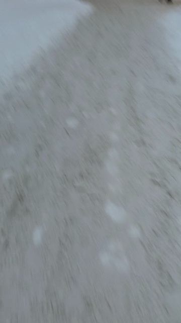 №1196 ул. Максима Горького. 22 декабря 2025 г., 16:34:10 VID_20251222_163303333