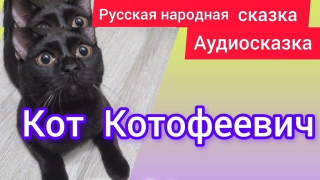 Кот Котофеевич | Народные сказки | Сказки детям 📚 | Сказка на ночь 😴 #Аудиосказки #Сказка #Детям