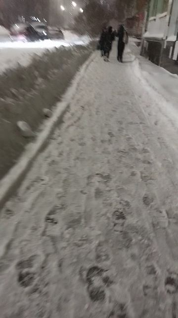 №1204 ул. Газеты Звезда. 22 декабря 2025 г., 17:36:28 VID_20251222_173520845