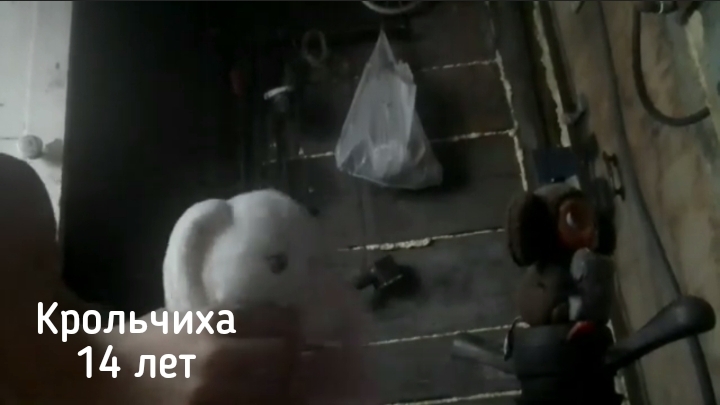 СКОЛЬКО ПЕРСОНАЖЕЙ ЛЕТ? КОРОЛЯ ТОЛСТЯКА?