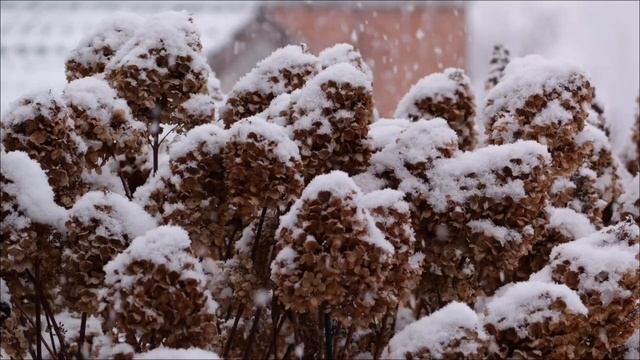 3 Февраля - Судьбоносный день. Что ждёт каждый знак_