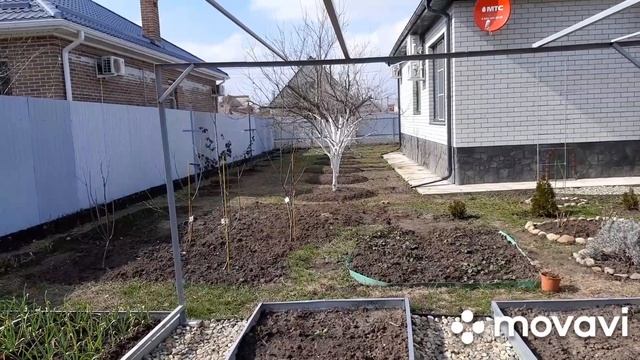 9-10 марта. Посеяла горох. Подкормили клубнику и виноград. Заморозки.