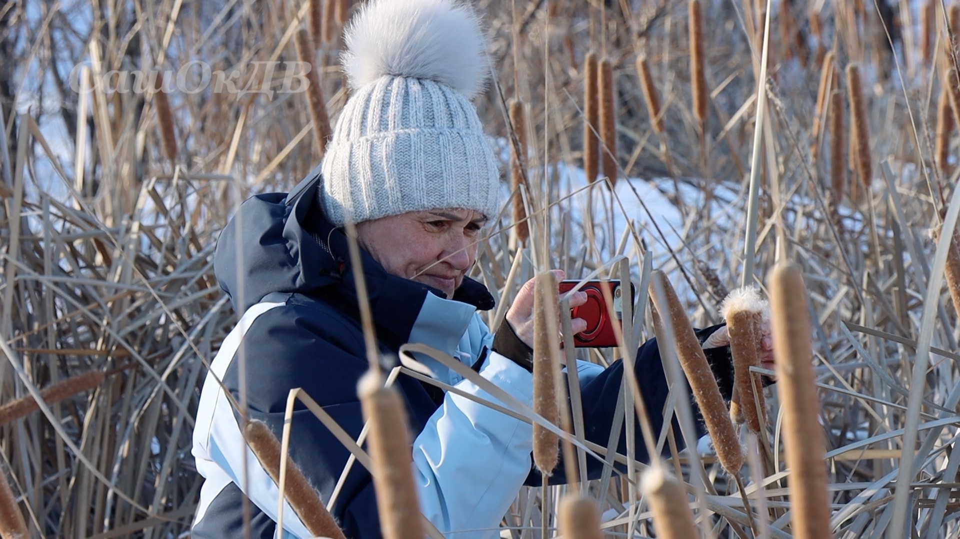 Мы забрались в камыши, оторвались от души... Зимняя прогулка.