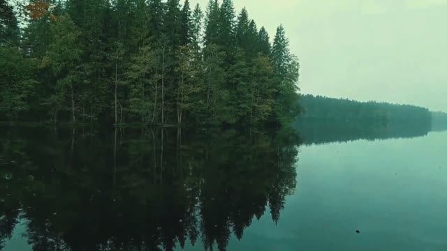 Отпуск в дикой природе (от первого лица)