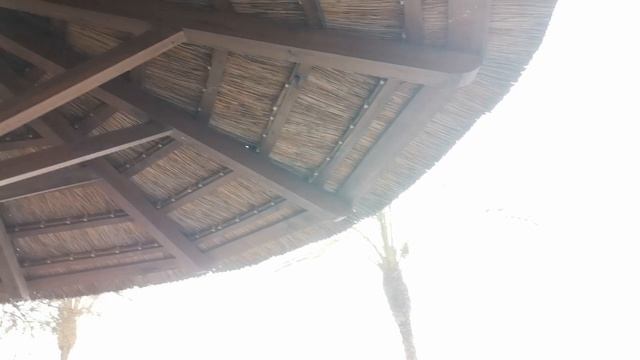 Мадейра_часть_2021-12-21