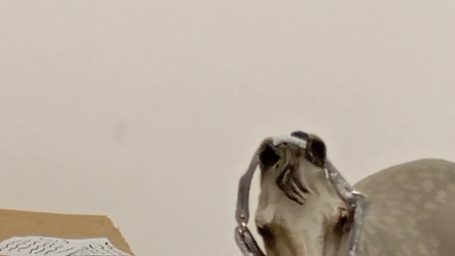 сериал Навсегда//5серия//лошади шляйх//Karmen studio//