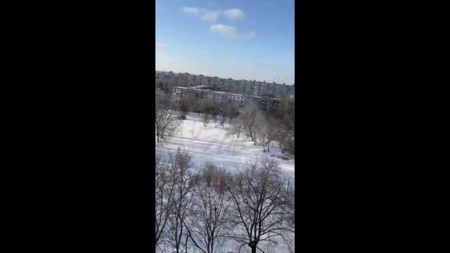 ГЕРАНЬ В ХАРЬКОВЕ КАК У СЕБЯ ДОМА. УКРАИНА.