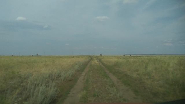 Исчезнувшая деревня Новая Андреевка, Озинский район.