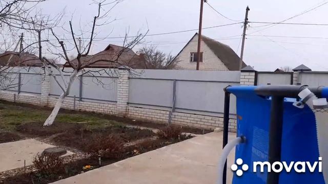 14-15 марта 2024 г. Высадили томаты в теплицу, посеяла для улицы. Подстригла ежевику.